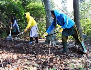 Home - Stanmore Temple | Shree Swaminarayan Temple Stanmore